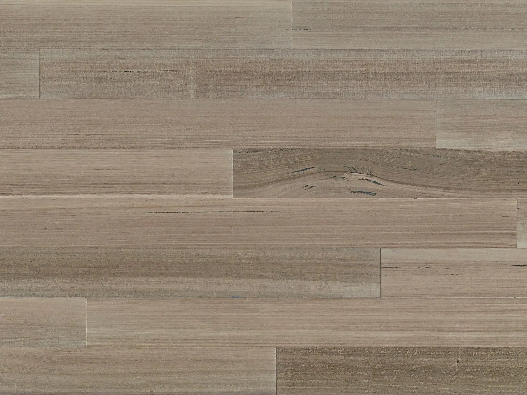 Monarch Ash Wood Alpine - Riftsawn Kempton - Engineered Hardwood