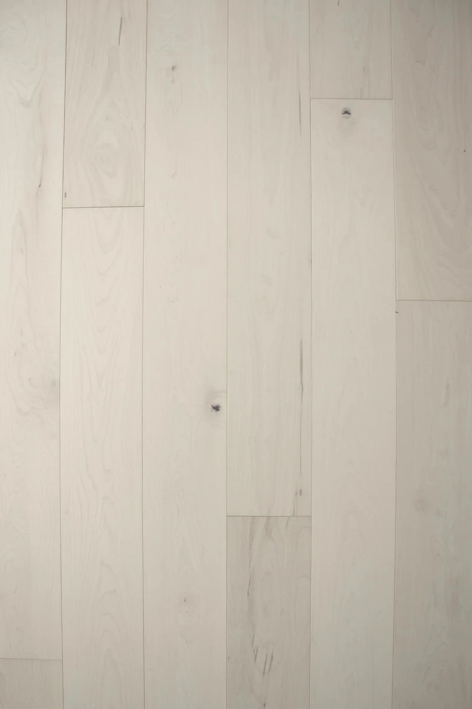 Venetto - Marmo Maple - Engineered Hardwood - US Hardwood & Carpet Inc