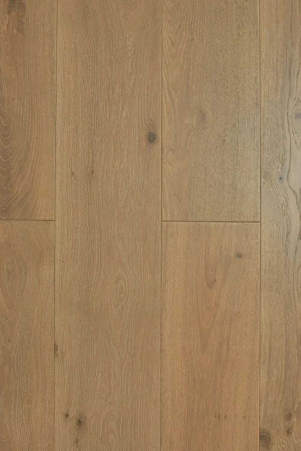 Victoria - Trapan iOak - Engineered Hardwood - US Hardwood & Carpet