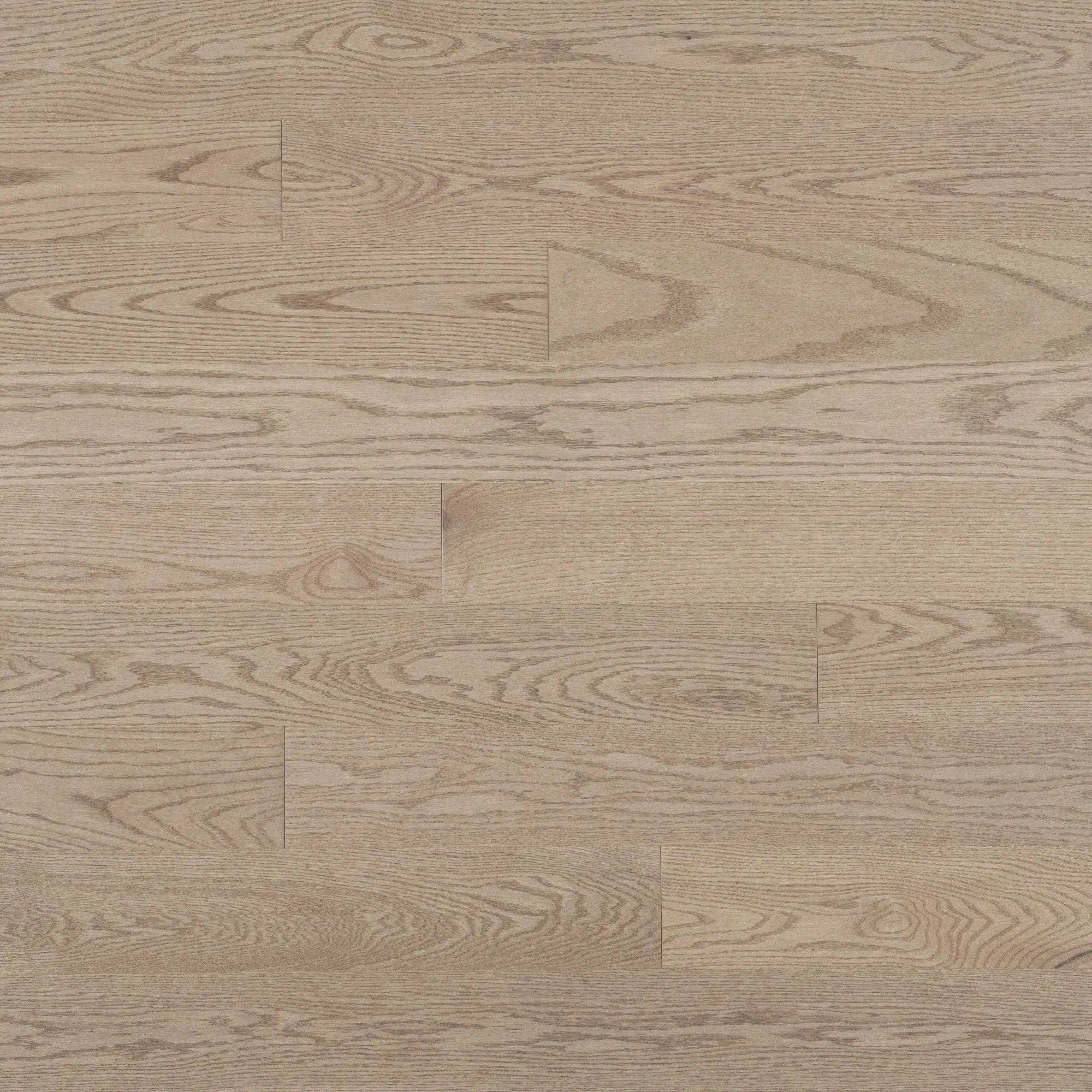 Mirage Admiration - Red Oak Rio Exclusive Smooth - Hardwood