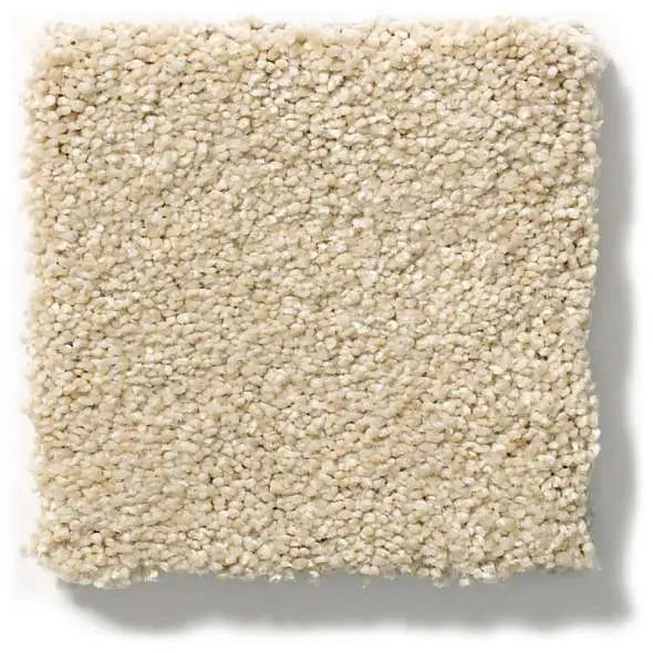 Shaw Floors Colorwall - Find your comfort I - Solid - Carpet