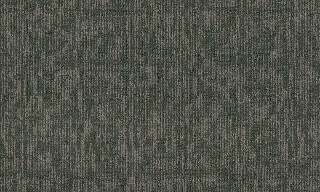 Philadelphia Commercial Broadloom - Refine - Carpet