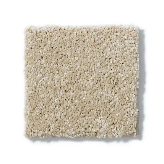 Anderson Tuftex Pet Perfect - Cooper - Carpet